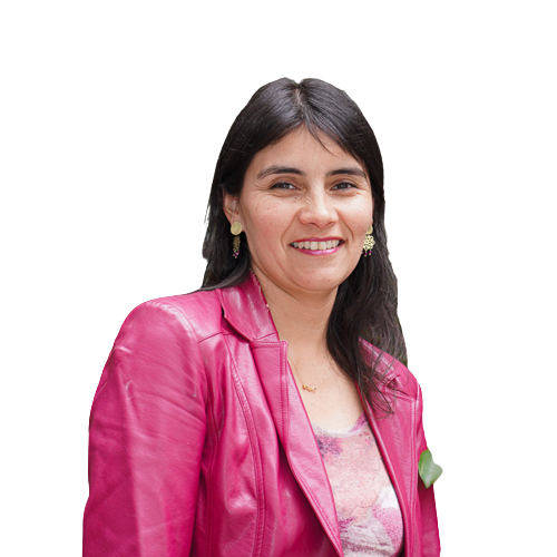 Gobernanza Mercados Municipales - IPVG