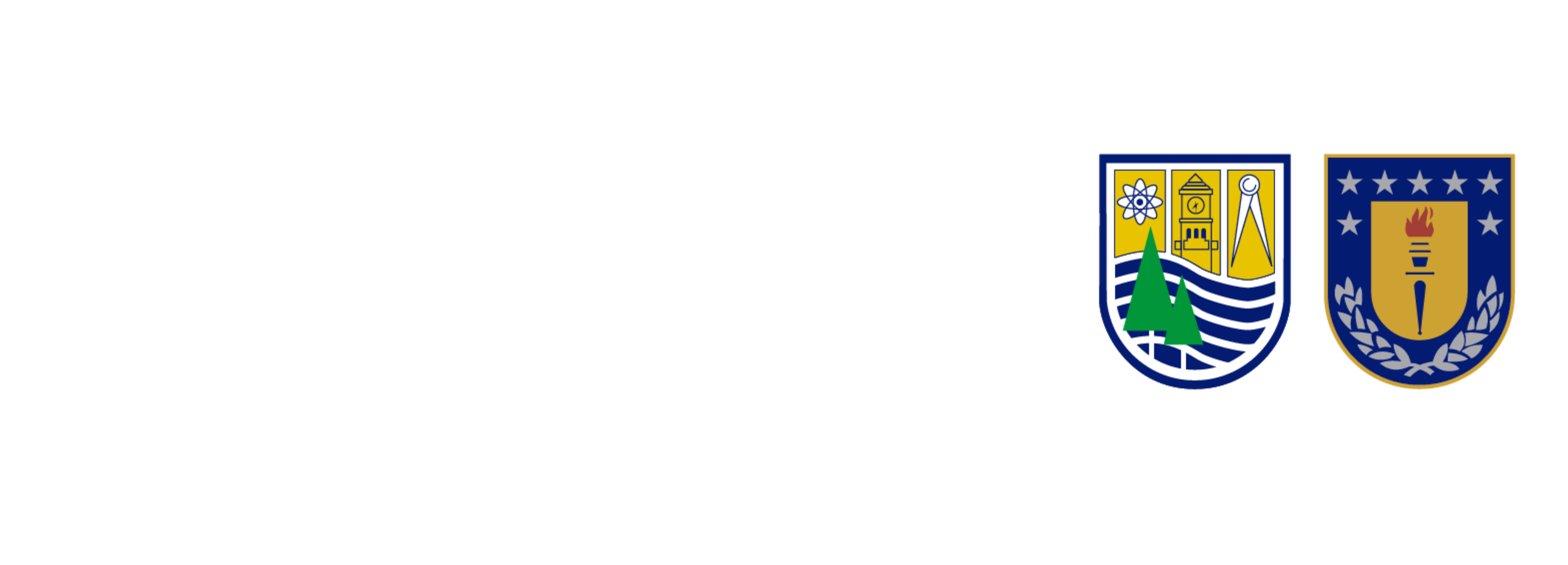 Virginio Gomez Logo